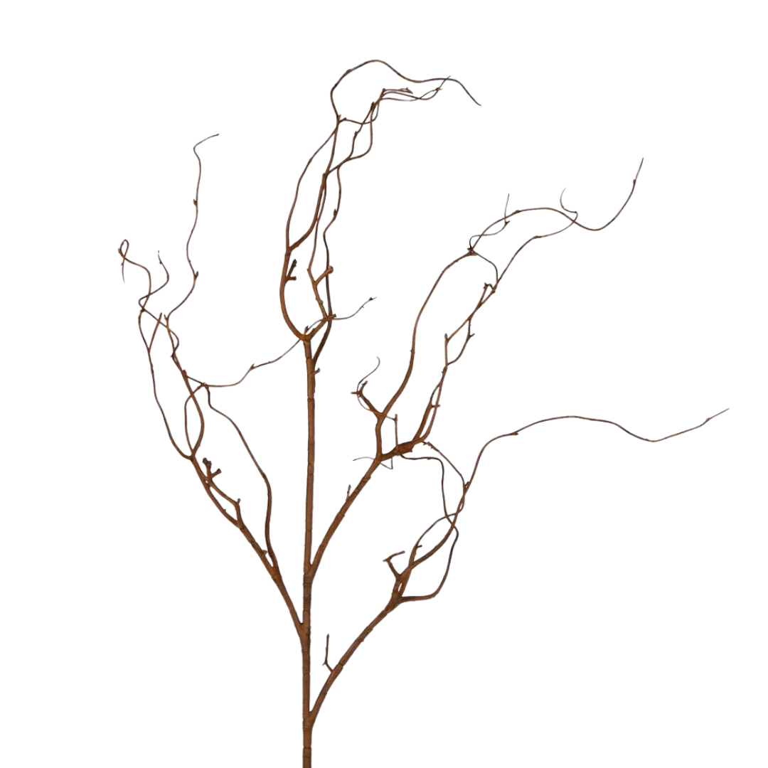 Coated Twig Branches – Kira and Kira